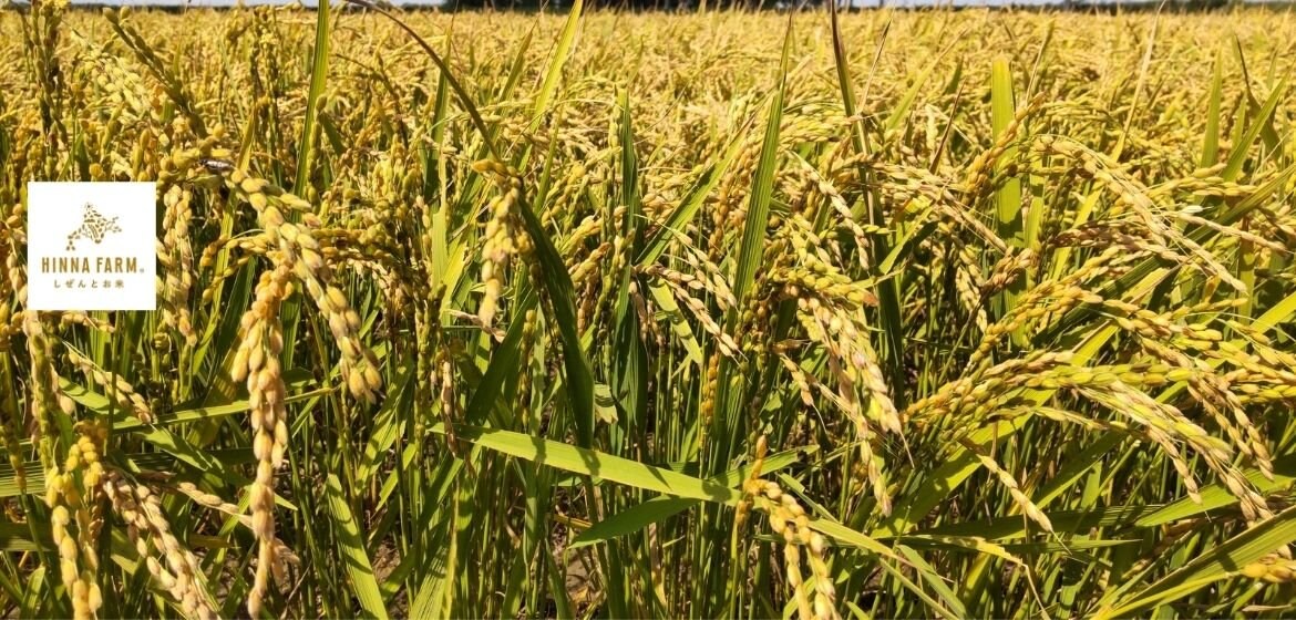 HINNA FARM ヒンナファーム