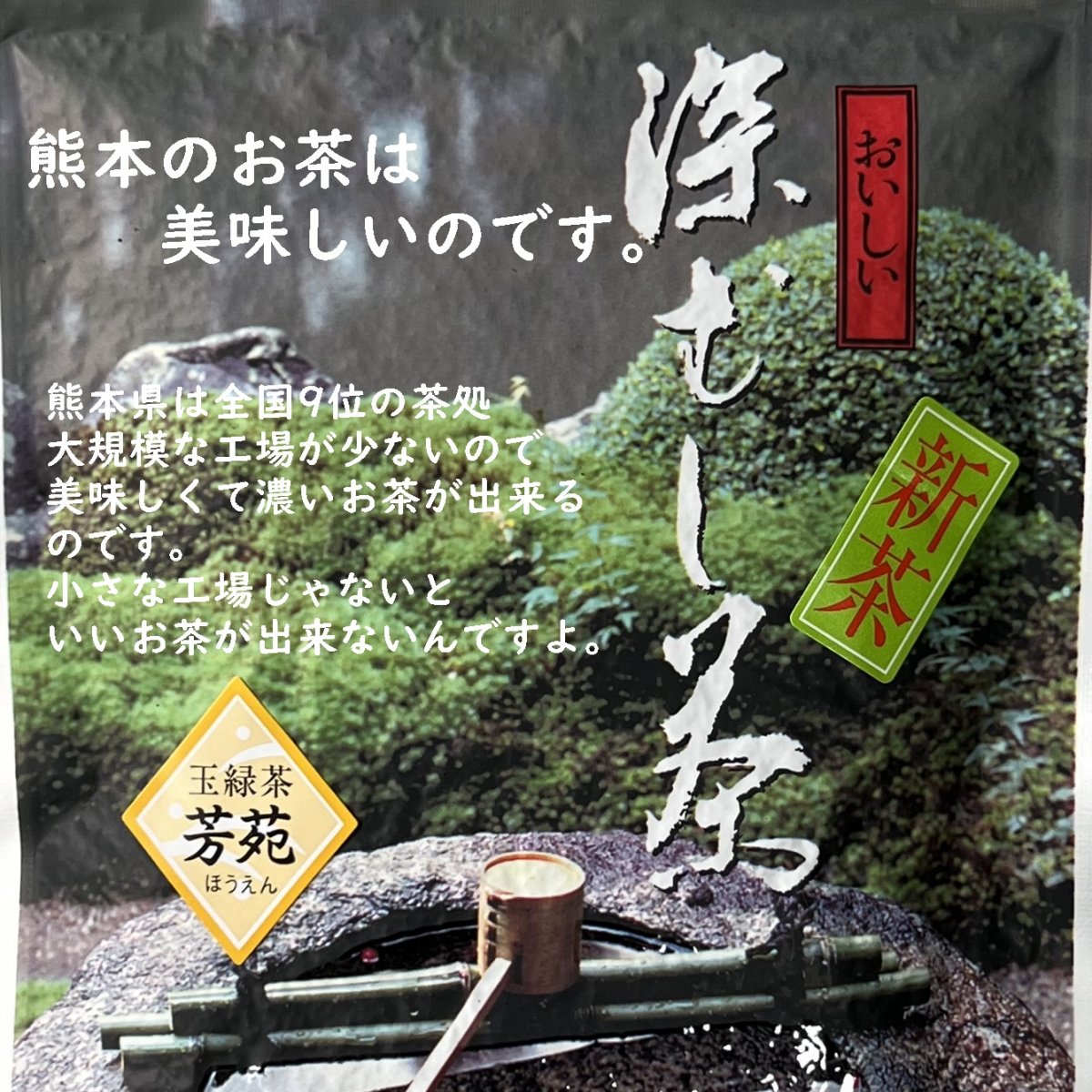 2025新茶ギフト お茶の堀野園 熊本県産深むし玉緑茶「芳苑」（ほうえん）95g 2本詰合せ