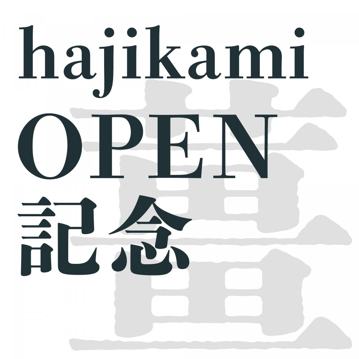 【hajikamiオープン記念】SNS代行・記事添削【限定4名様】 - haji-薑-kami